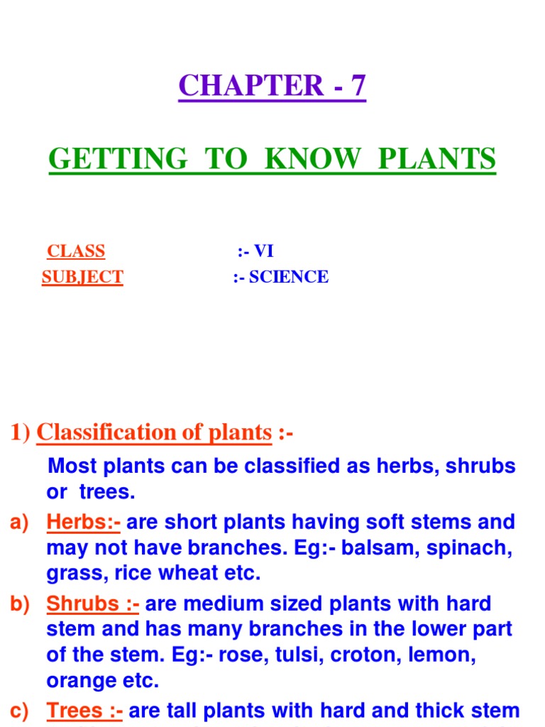 VI-7-Getting To Know Plants | PDF | Leaf | Flowers