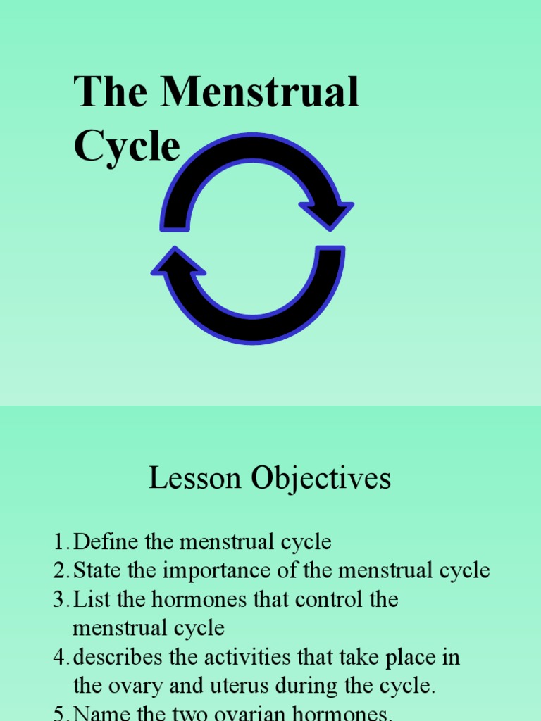 Notes - The Menstrual Cycle | PDF