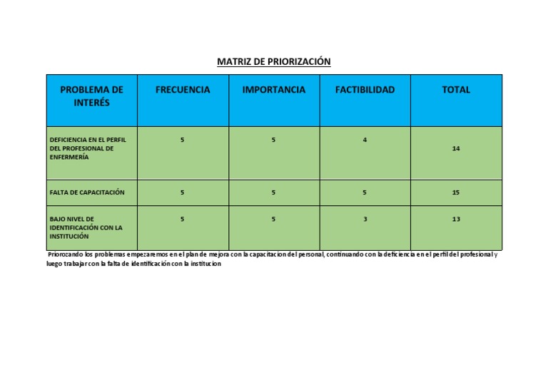 Matriz de priorización para mejora de problemas en enfermería | PDF