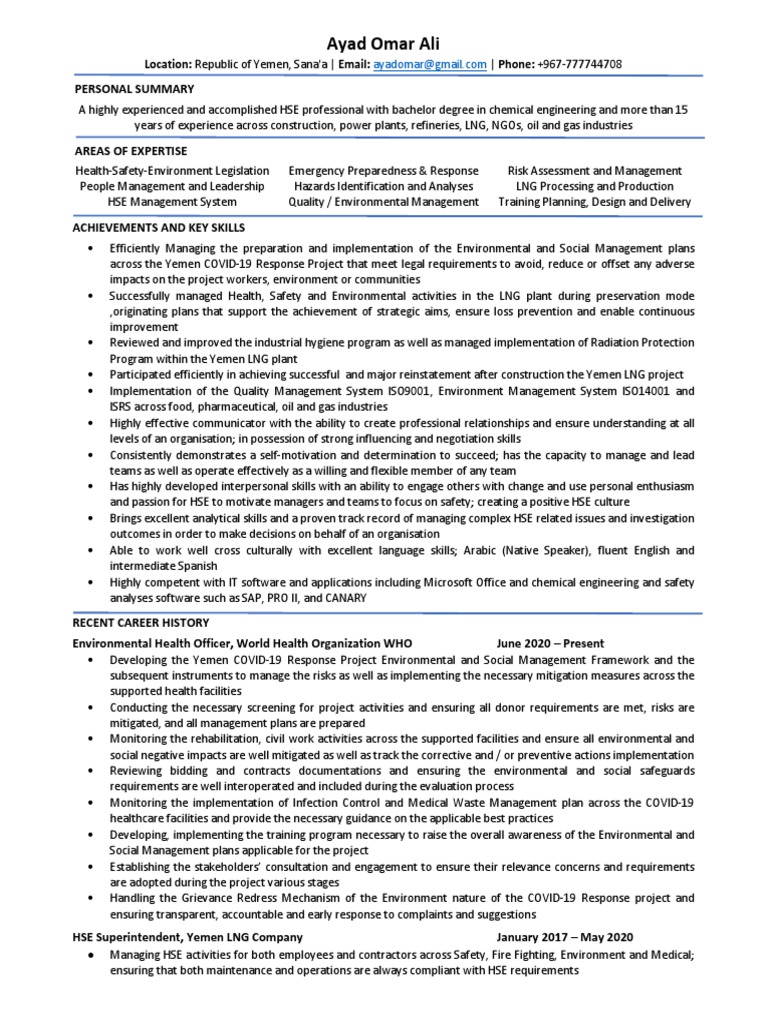 Ayad Omar Ali CV 2020 | PDF | Audit | Risk