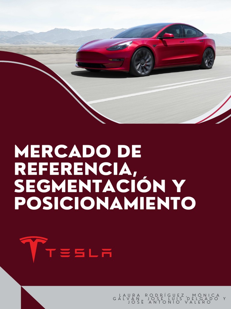 Segmentación Tesla | PDF | Vehículo eléctrico