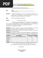 Modelo de Informe de Evaluaciones de Subsanacion | PDF