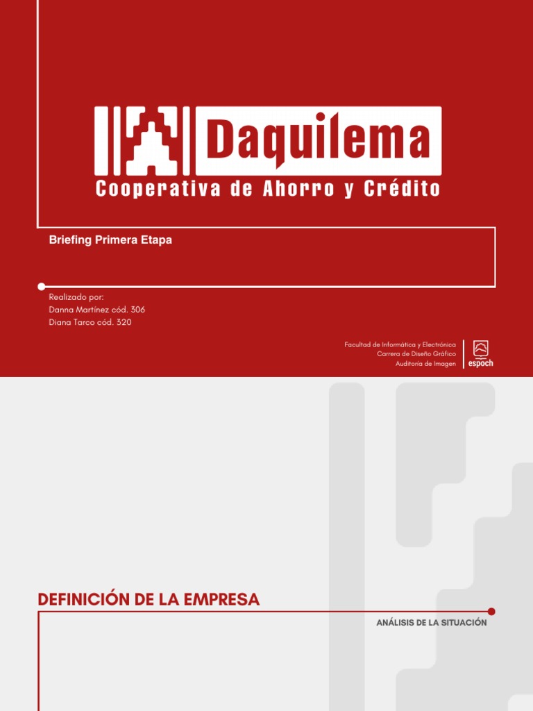 Cooperativa Fernando Daquilema: Estrategias y Visión | PDF ...
