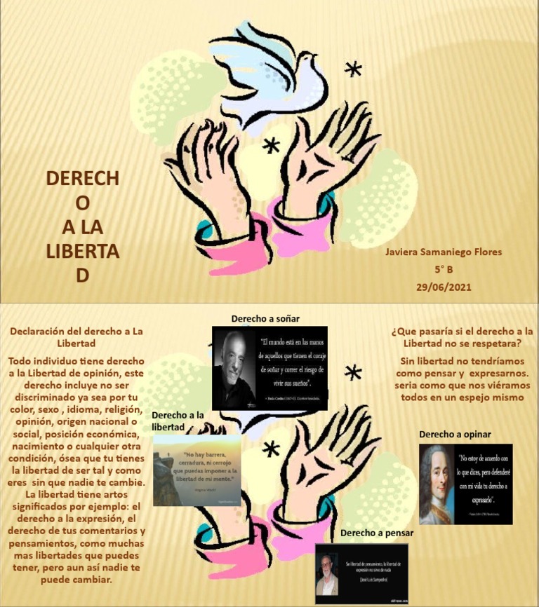 Derecho A La Libertad | PDF | Ciencias sociales | Política