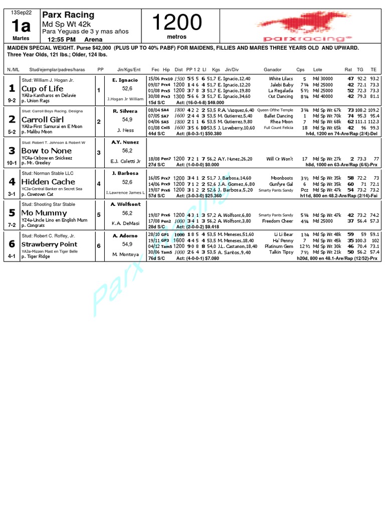 1 - Parx Racing RETROSPECTOS-6 | PDF | Horse Racing | Thoroughbred Horses