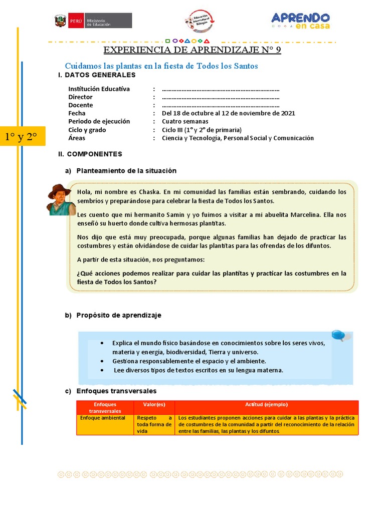 Experiencia 9 - 1 y 2 Grado | Descargar gratis PDF | Aprendizaje | Experiencia