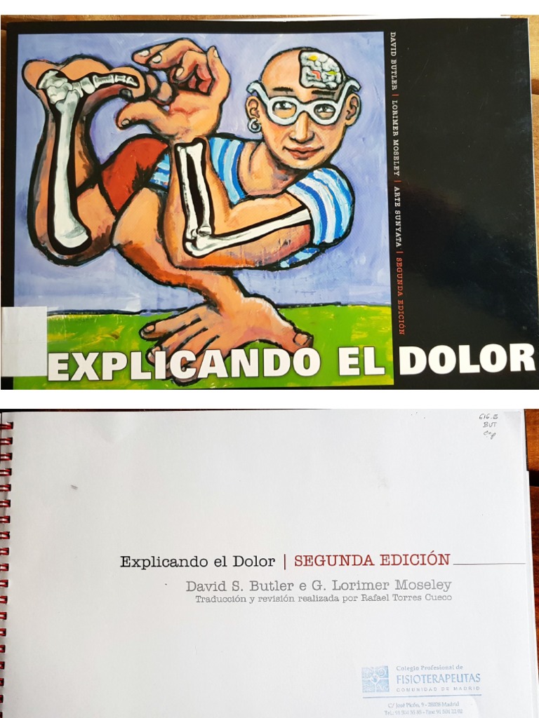 Entendiendo El Dolor | PDF
