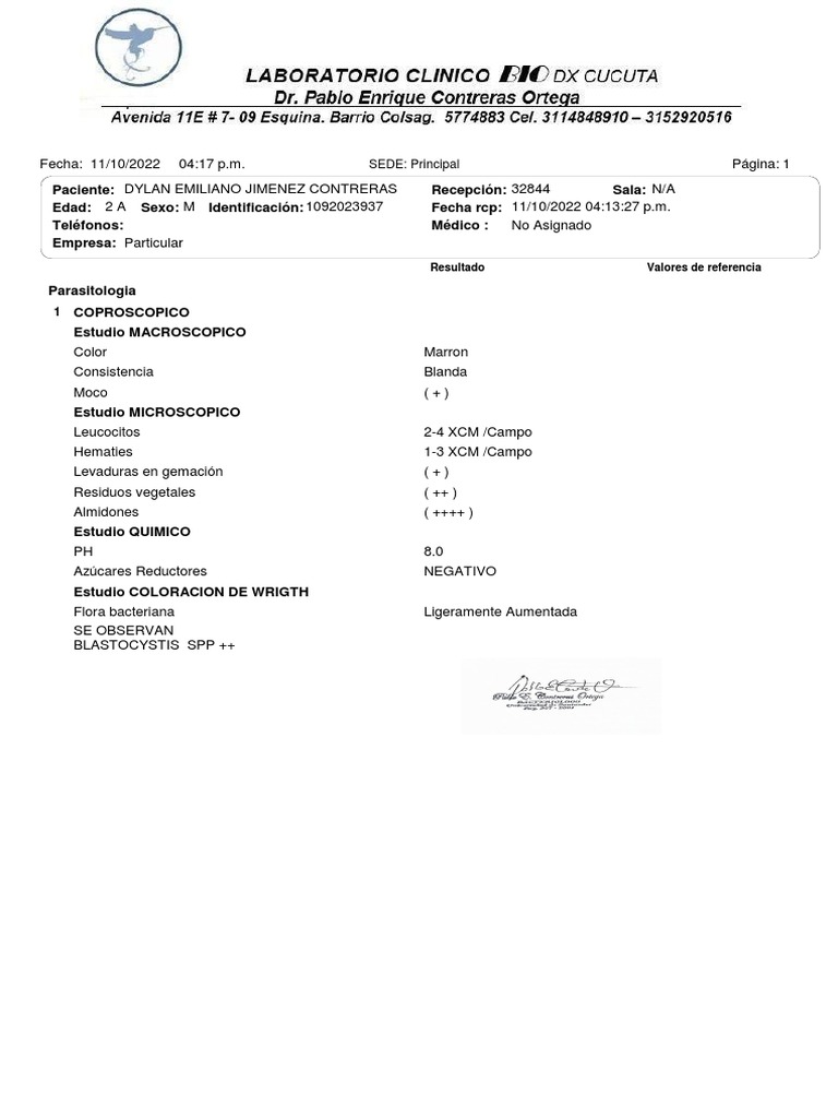 DYLAN Resultados #32844 | PDF