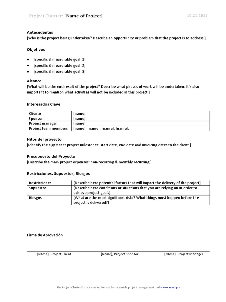 Project Charter Template 04 | PDF