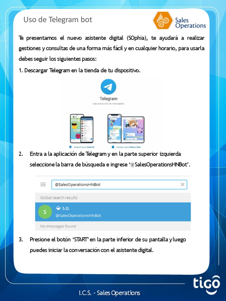 Instrucciones Bot Telegram | PDF