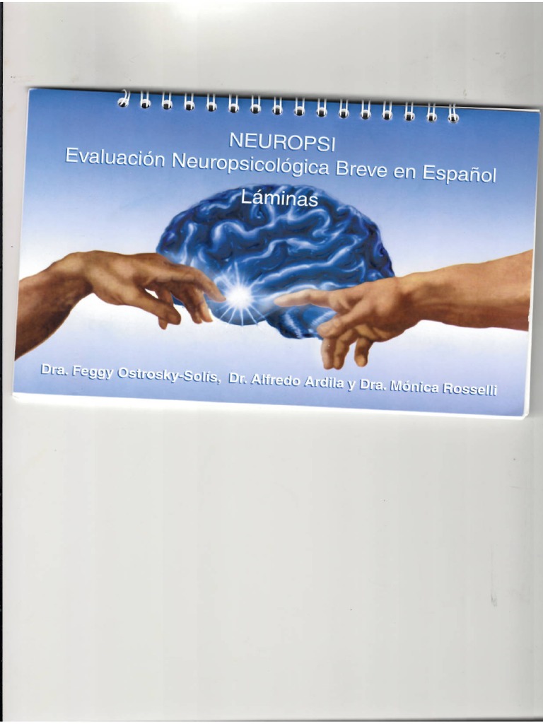 Plantilla Neuropsi | PDF