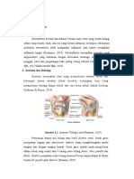 LP & ASKEP Ruptur ACL | PDF