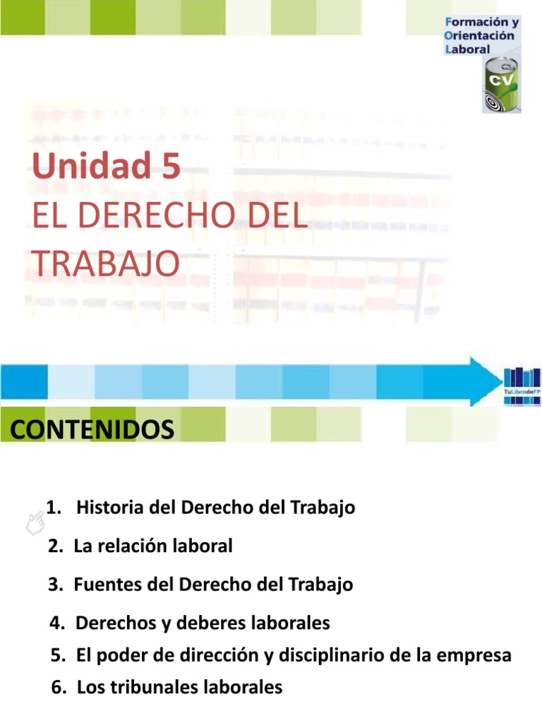 Derechos y obligaciones en la relación laboral | PDF | Derecho laboral | Economias