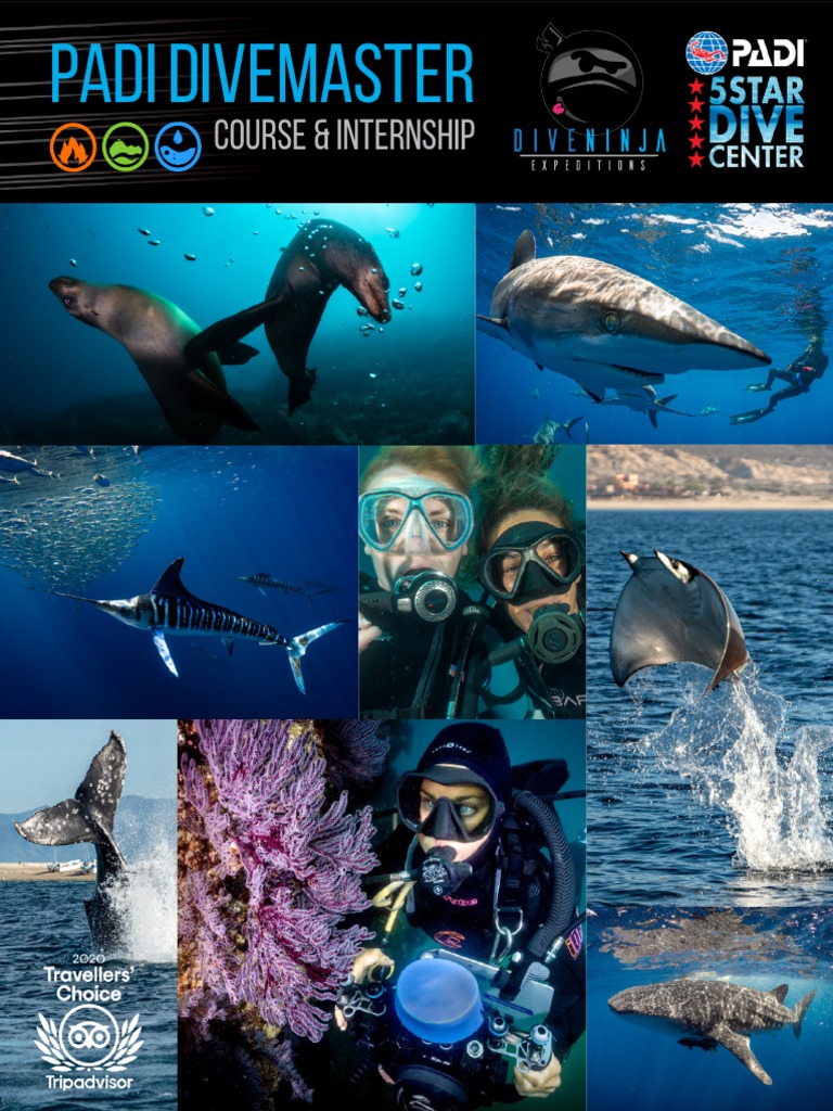 DiveNinja Divemaster Brochure Vf2Web | PDF | Cost Of Living | Scuba Diving