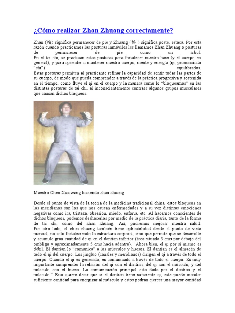 Cómo Realizar Zhan Zhuang | PDF | Qi | Tai Chi