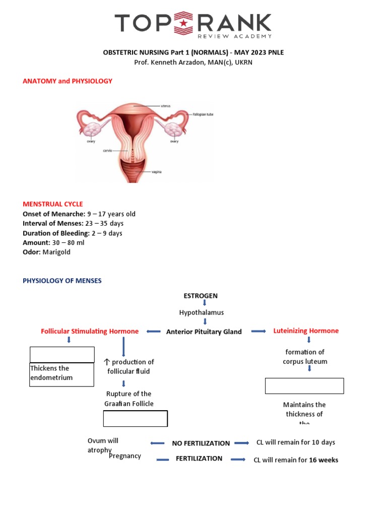 Revised OB Handout Part 1 MAY 2023 PNLE Refresher | PDF | Menstrual Cycle | Childbirth
