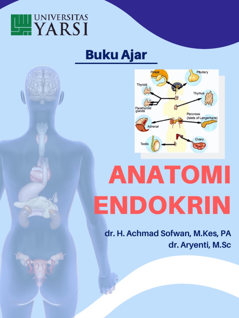 Buku Anatomi Endokrin | PDF