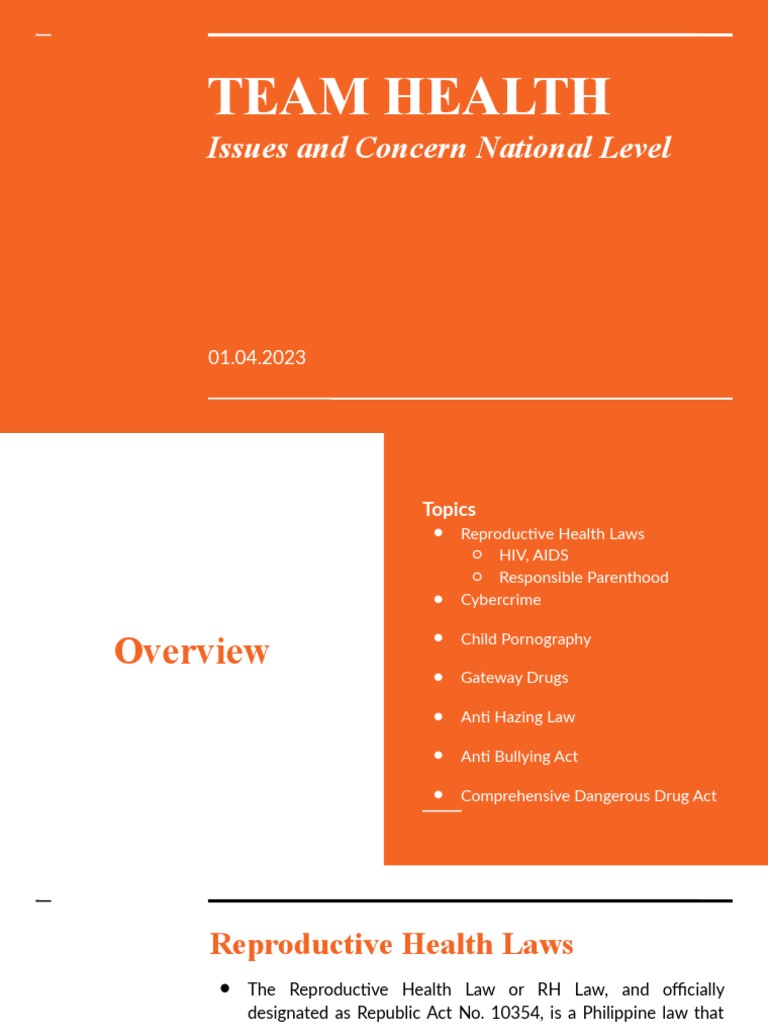 Team Health Report | Download Free PDF | Child Pornography | Cybercrime