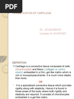 2023 NAMAS MDM Chart Office | PDF | Health Care | Medicine