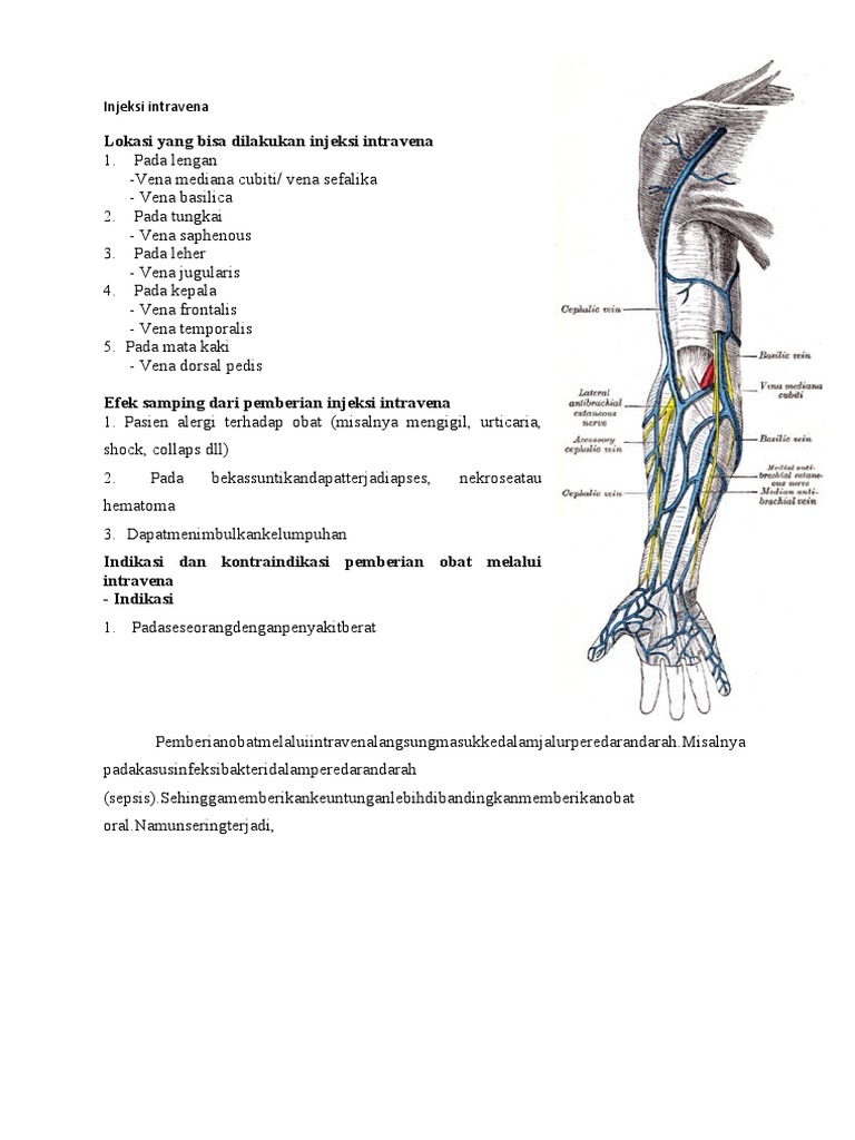 Injeksi Intravena | PDF
