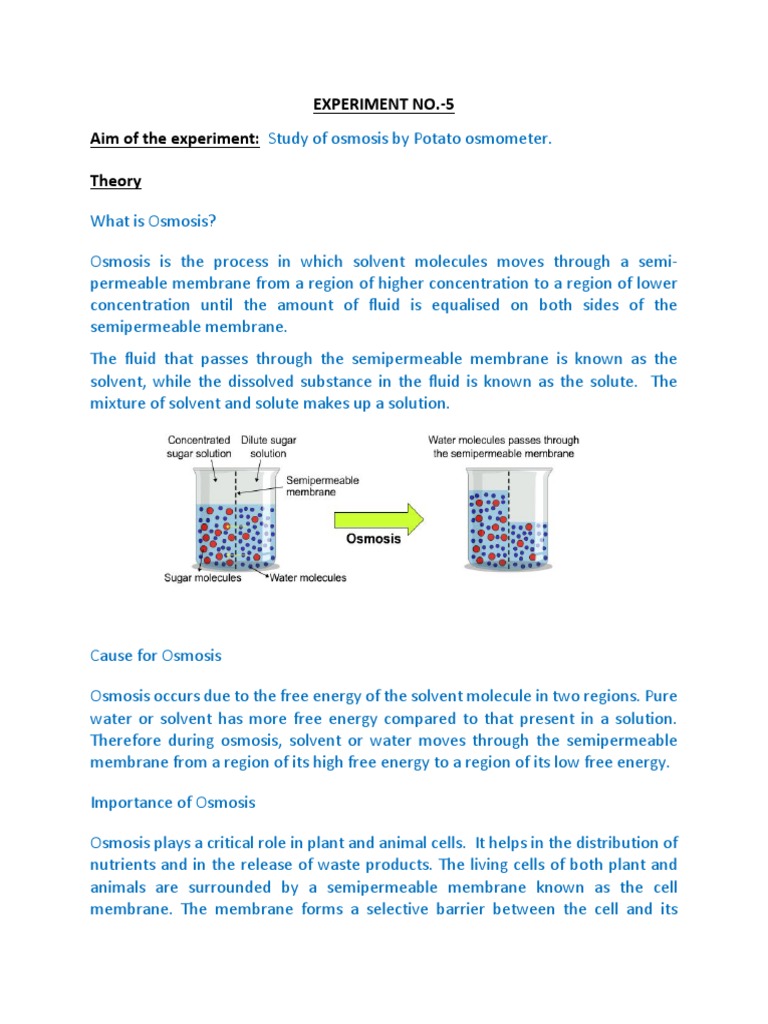 Expt - 5 | PDF | Osmosis | Cell Membrane