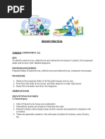 Cbse Class Ix Animal Tissue Flow Chart | PDF | Epithelium | Tissue ...