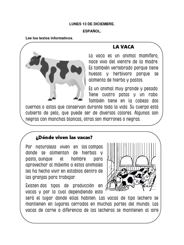 Actividades Lunes 13 de Diciembre | PDF