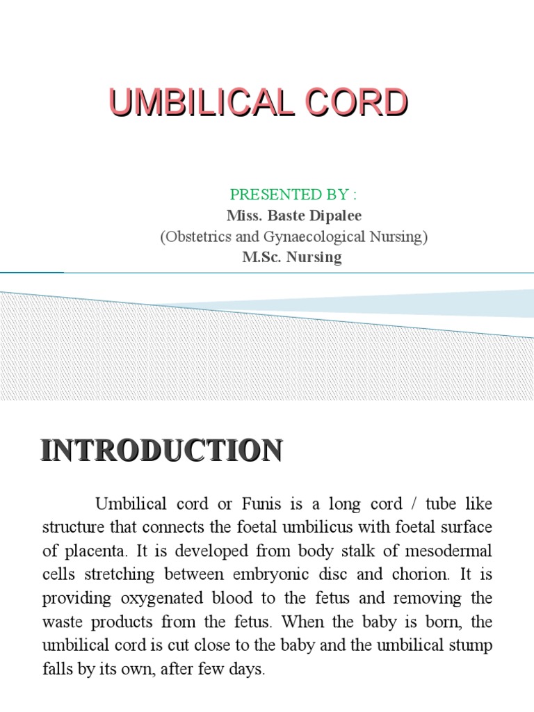 Umblical Cord | PDF