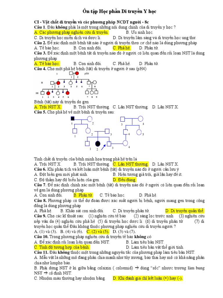 DT TNM Converted Compressed | PDF