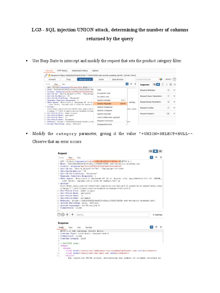 LG3 SQL Injection UNION Attack Determining The Number of Columns Returned by The Query | PDF ...
