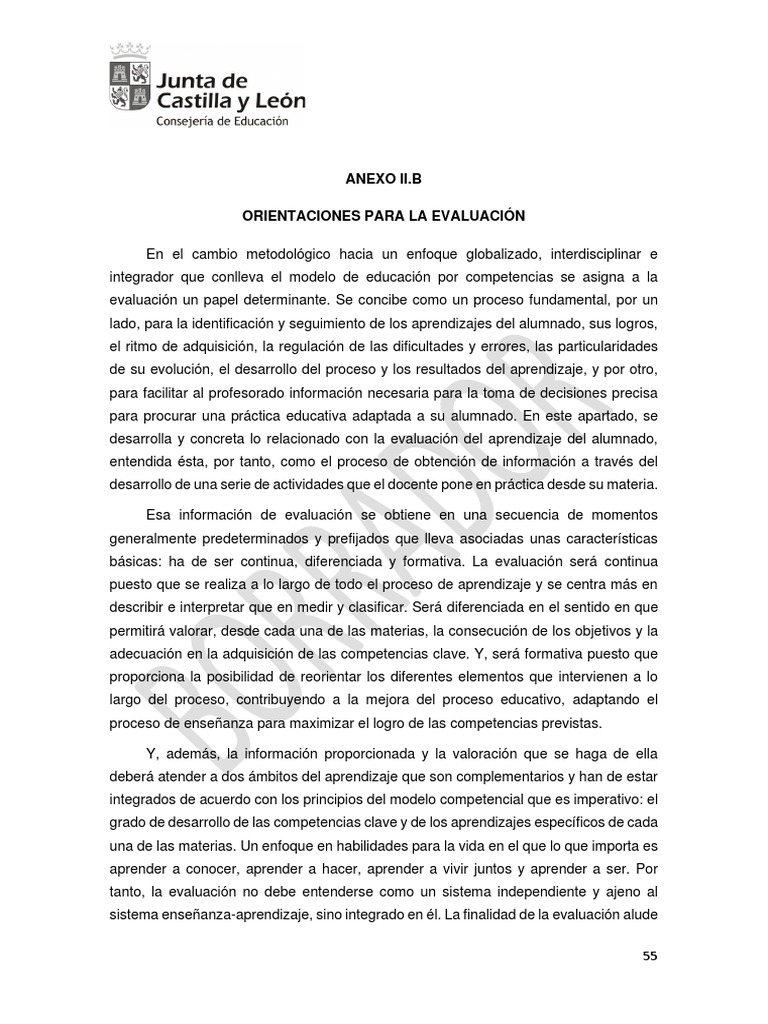 Anexo II.B Orientaciones para La Evaluación | PDF | Evaluación | Aprendizaje