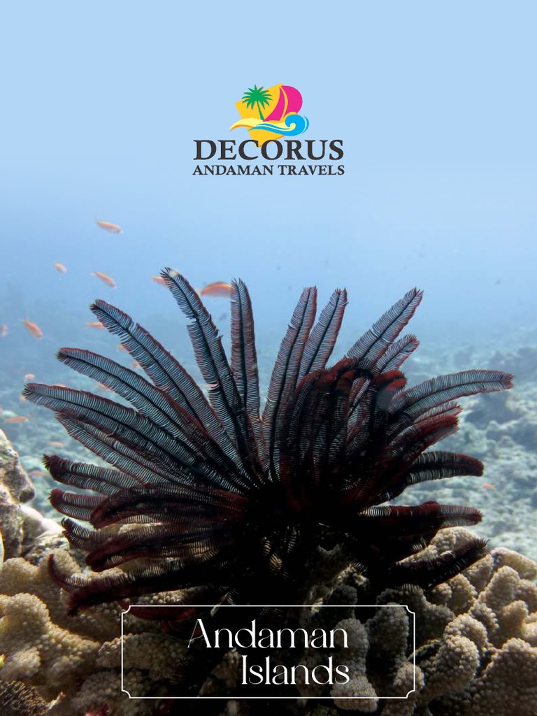 Decorus Andaman Travels Brochure 2022 | PDF | Beach