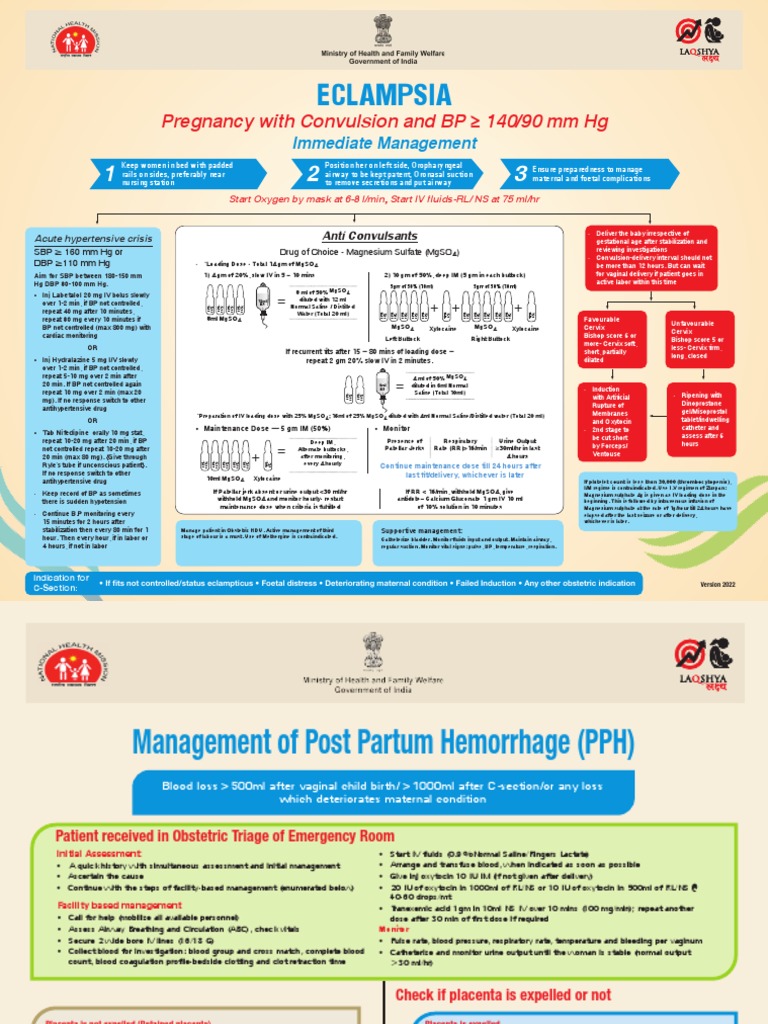 MNH Posters - MoHFW - Updated 14 Dec 2022 | PDF | Childbirth | Medical ...