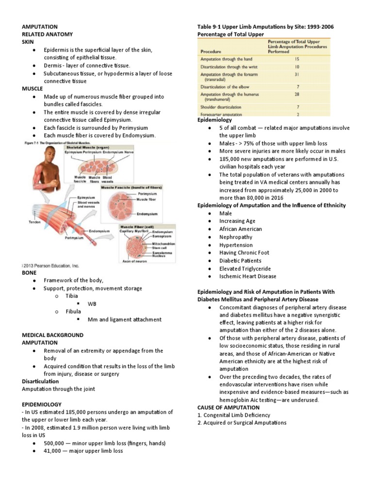 6 Finals Amputation | PDF | Amputation | Prosthesis