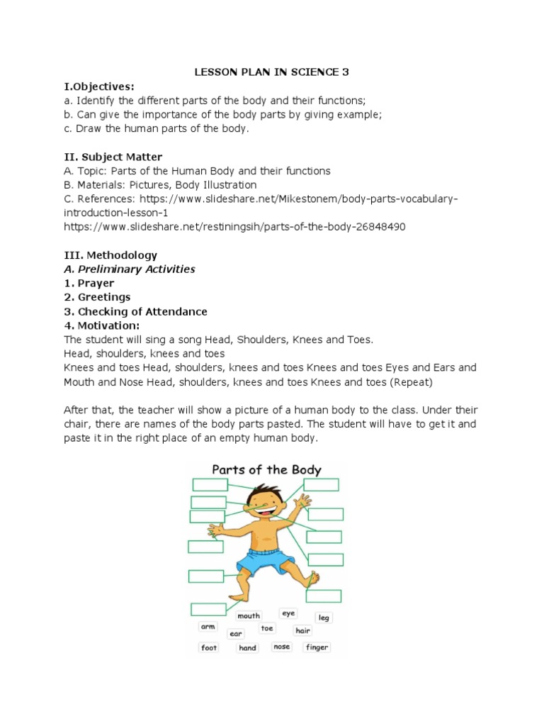 (LESSON PLAN) Parts of The Human Body and Their Functions | Download ...