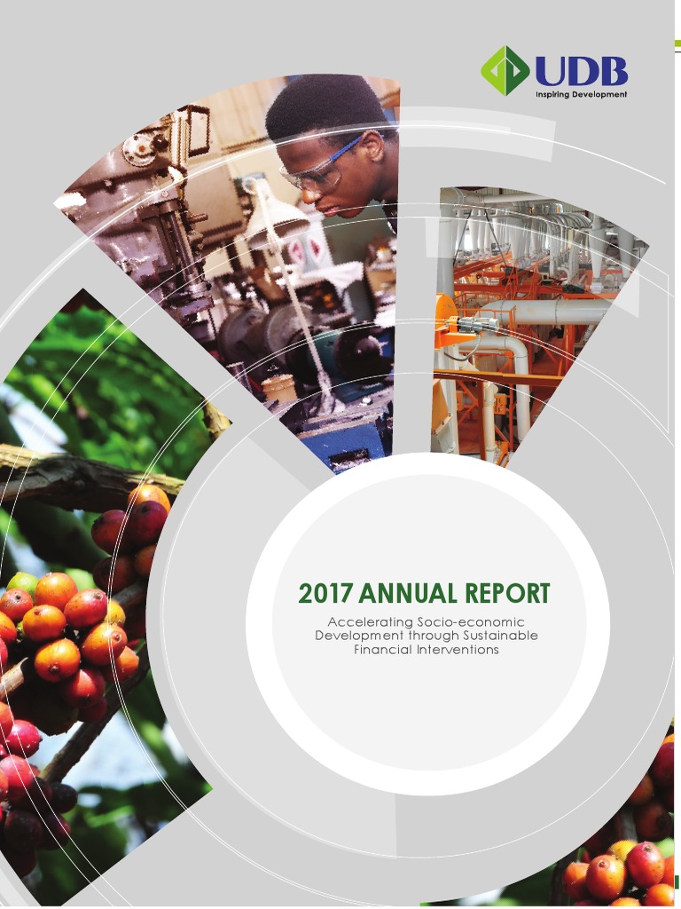 Udb Annual Report 2017 | Download Free PDF | Debt | Taxes