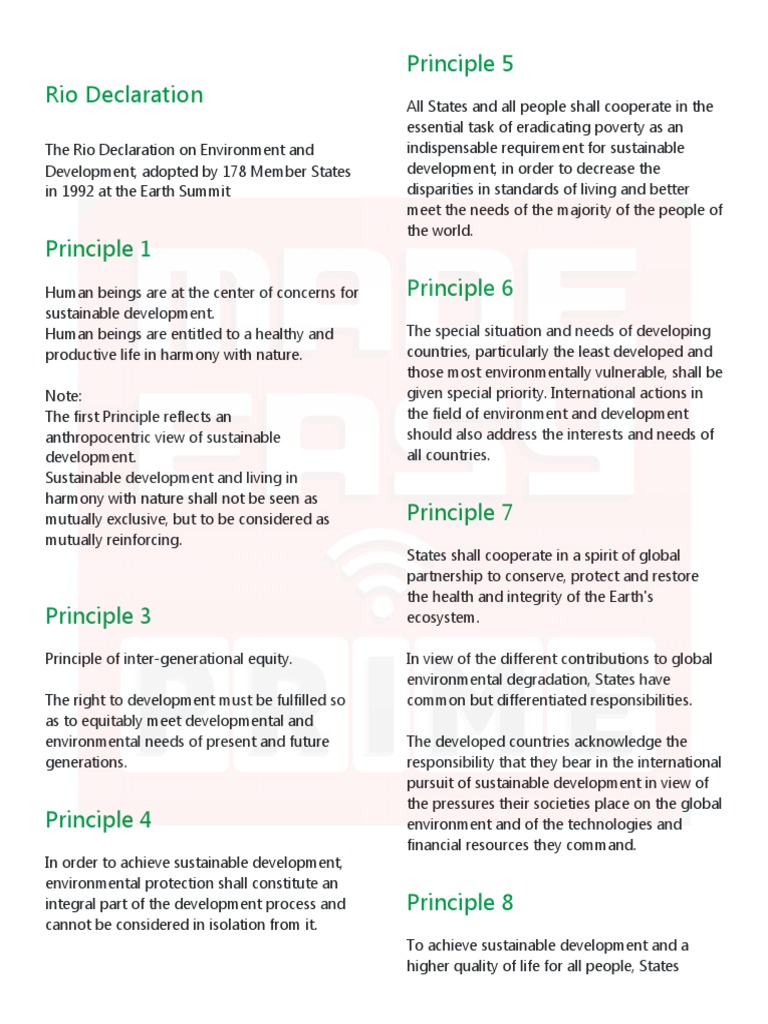 RioPrinciples SDG Notes | PDF | Sustainability | Natural Environment