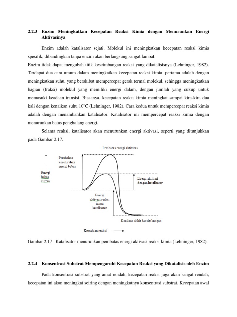 Materi Mekanisme Enzim | PDF