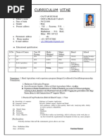 Basic Karen Language Guide: Getting To Know Someone | PDF