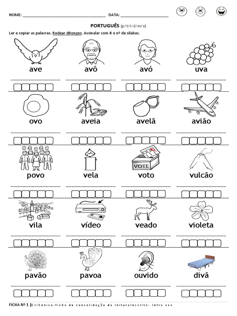 1ºano-Fichas Treino V, M, L, D, T, P | PDF | Ornitologia | Aves