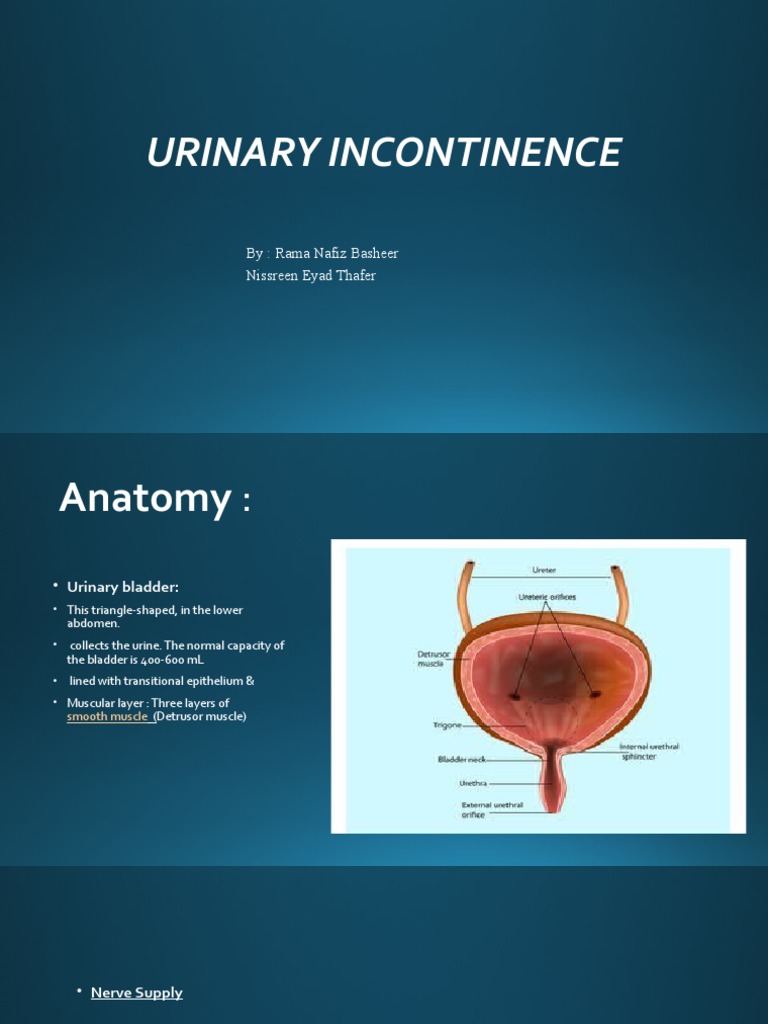 A Comprehensive Guide To Urinary Incontinence Evaluating Types Causes