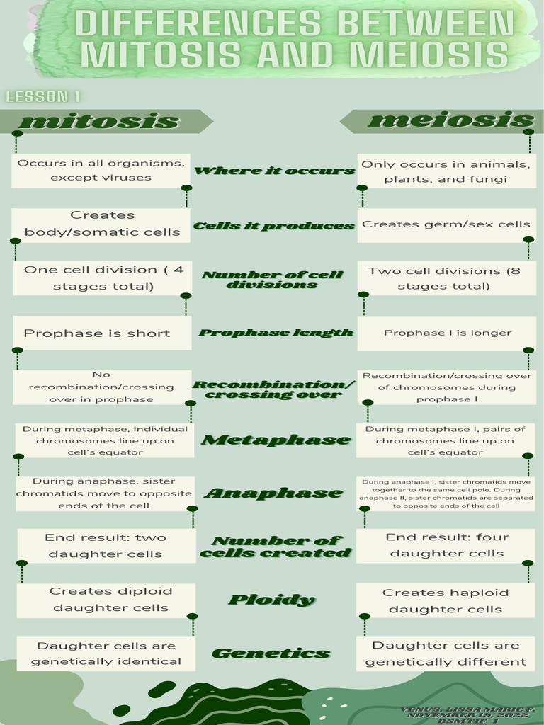 Venus - BSMT1F 1 - M3 Post Task | PDF | Meiosis | Heredity