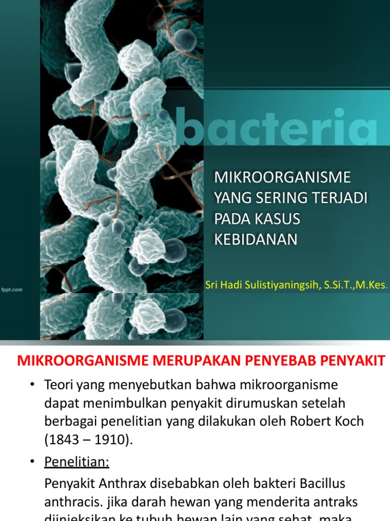 Mikrobiologi Dan Parasitologi - Sri Hadi Sulistiyaningsih ...