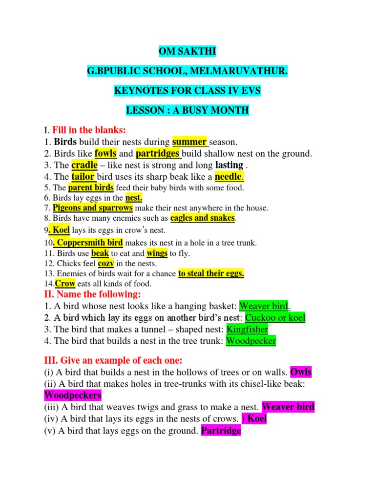 Class 4 Evs Keynotes For Busy Month | PDF | Birds | Beak