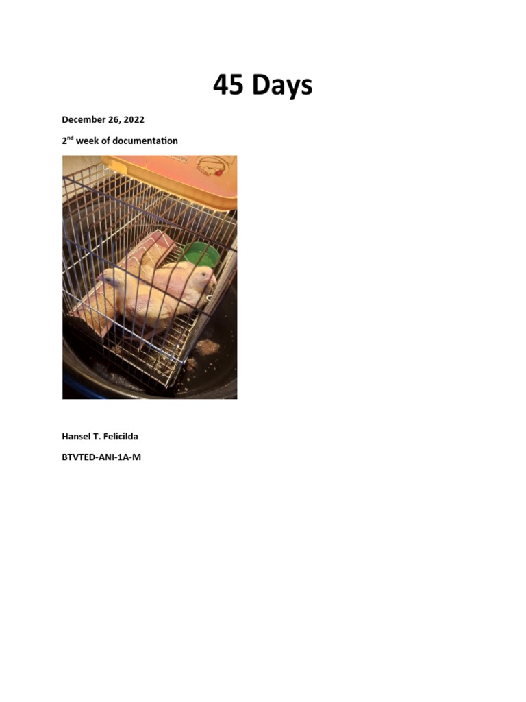 45 Days Chicken- 2nd Week | PDF