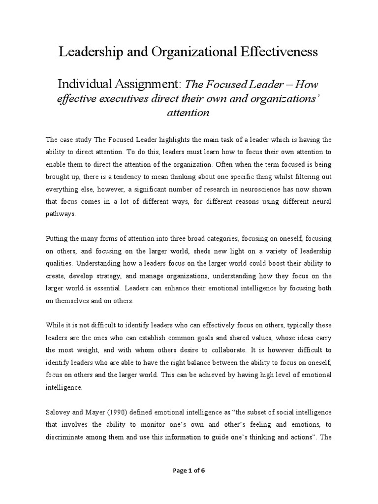 The Focused Leader - How Effective Executives Direct Their Own and ...