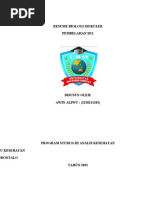 Struktur DNA Basa Nitrogen | PDF