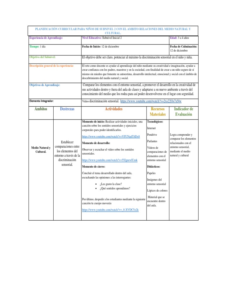 Planificación Curricular para Niños Del Subnivel 2 | PDF | Aprendizaje ...