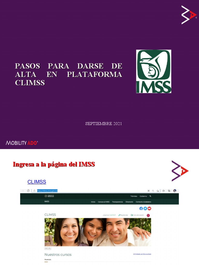 Cursos Imss | PDF