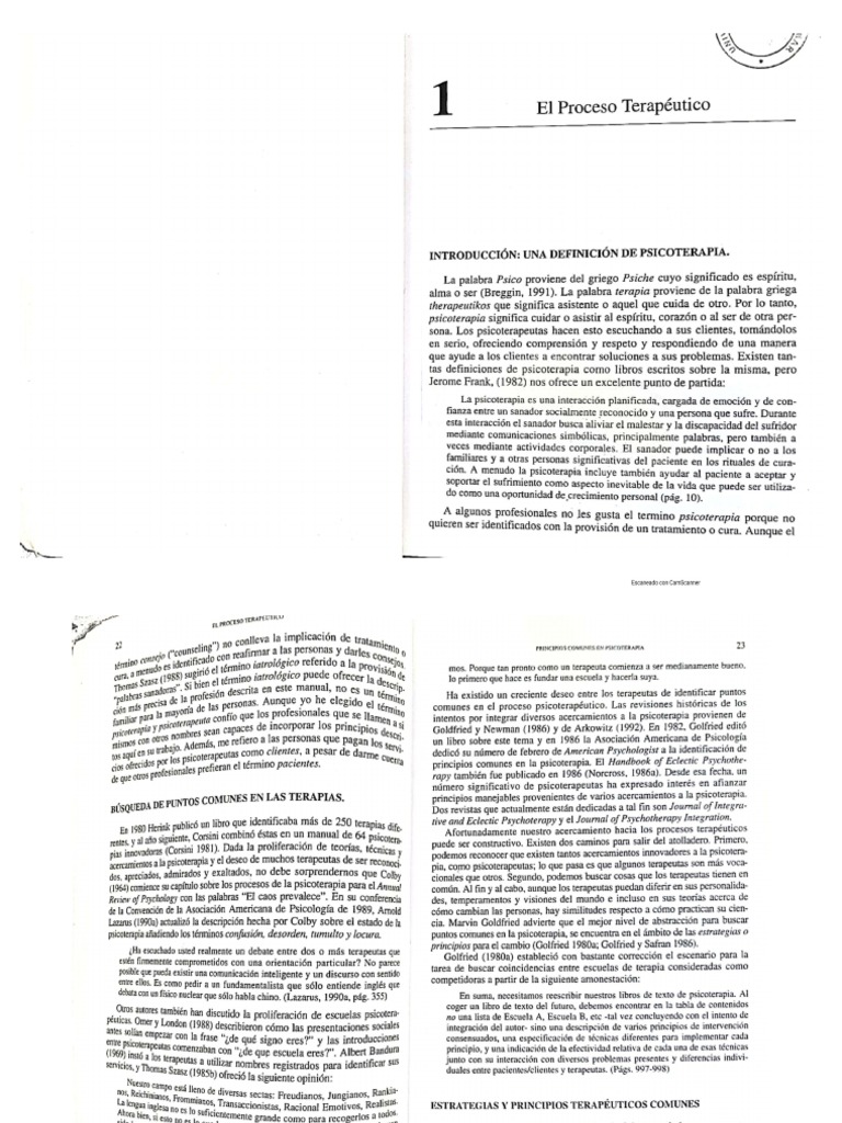 Kleinke Cap.1 | PDF